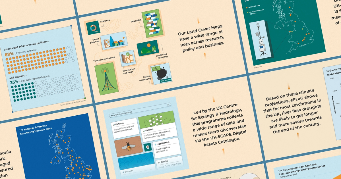 Data videos - Beyond Words Studio